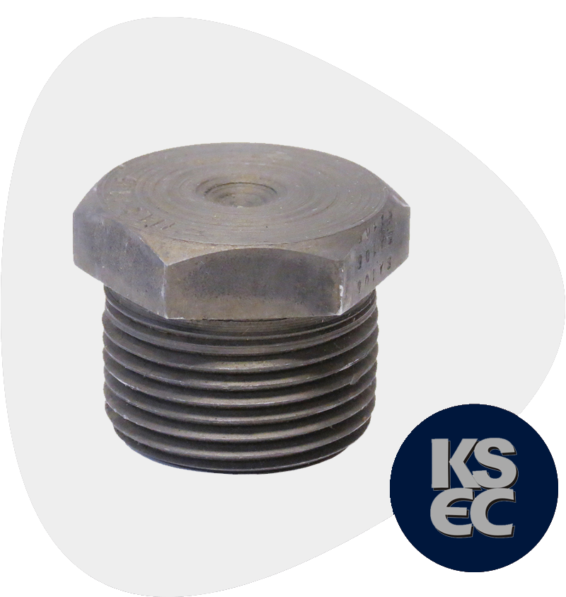 ANSI B16.11 Forged Threaded Hex Head Plugs Manufacturer and Supplier in ...