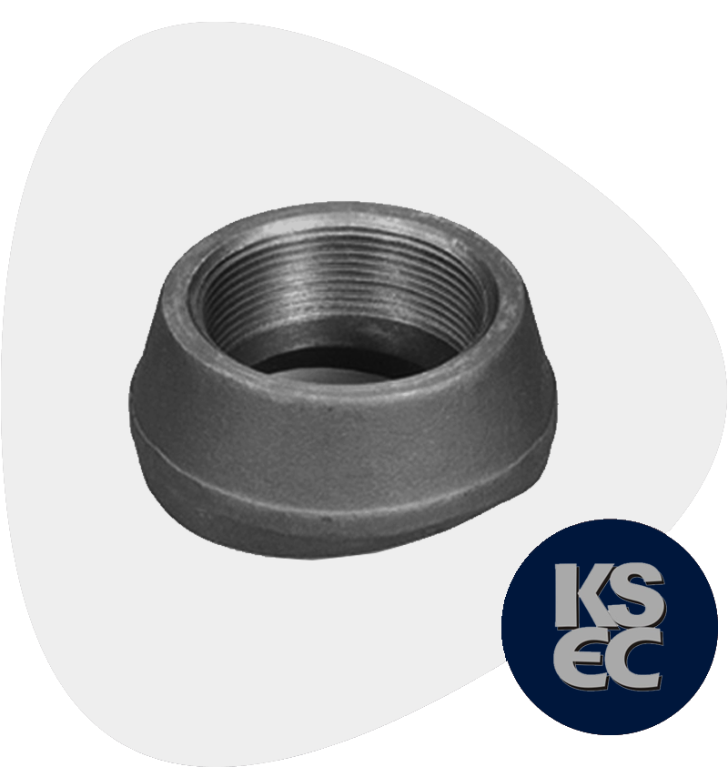 ANSI B16.11 Forged Threaded Branch Outlet Manufacturer and Supplier in ...